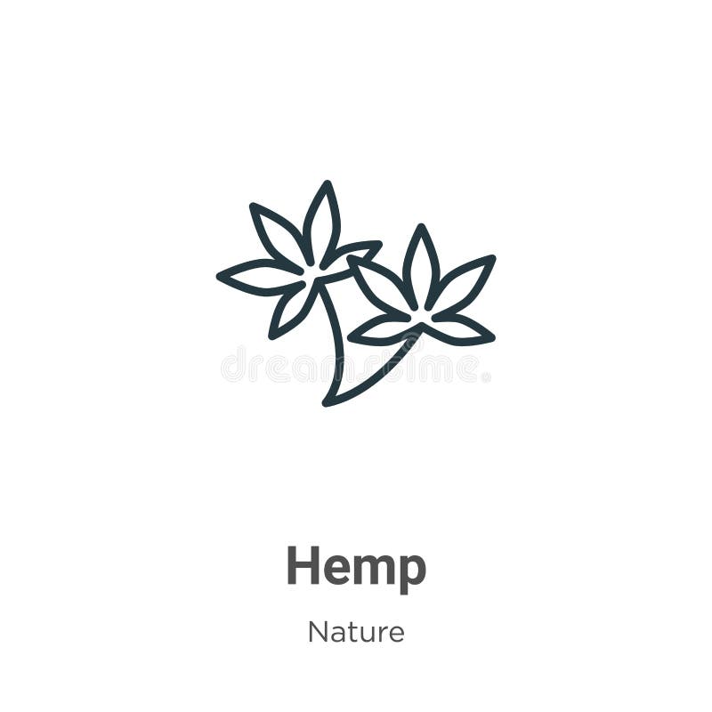 Hemp Outline Vector Icon. Thin Line Black Hemp Icon, Flat Vector Simple ...