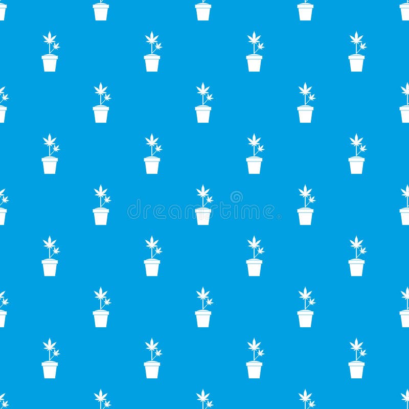 Hemp in Pot Pattern Seamless Blue Stock Vector - Illustration of drug ...