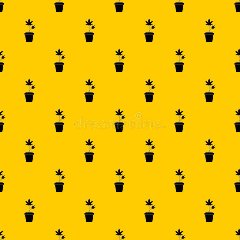 Hemp in pot pattern vector stock vector. Illustration of drug - 149645739