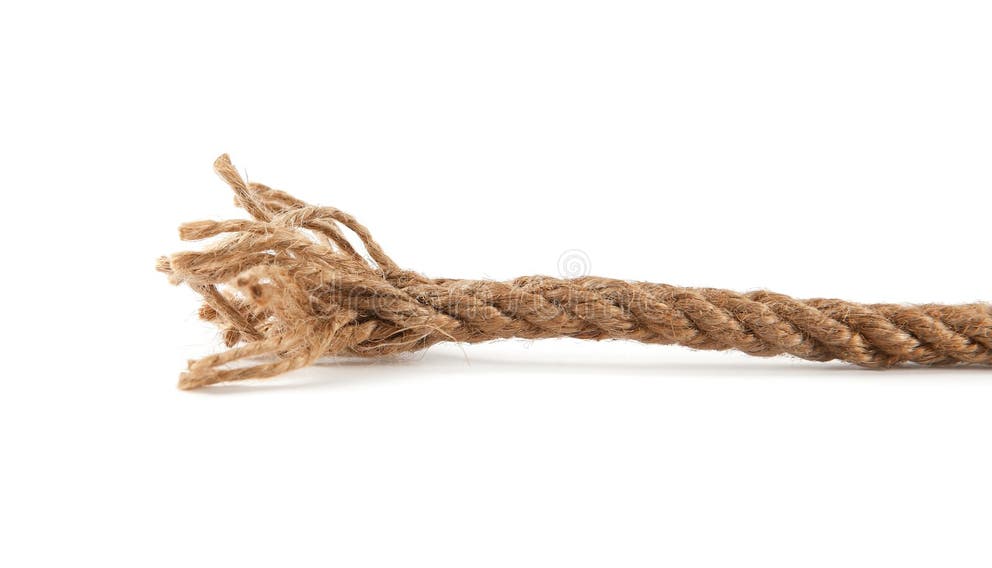 Hemp Rope Isolated on White. Organic Material Stock Image - Image of ...