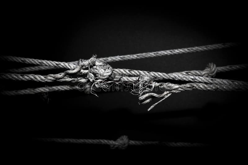 The Hemp Rope is about To Break, and a Knot Tied To a Rope is about ...