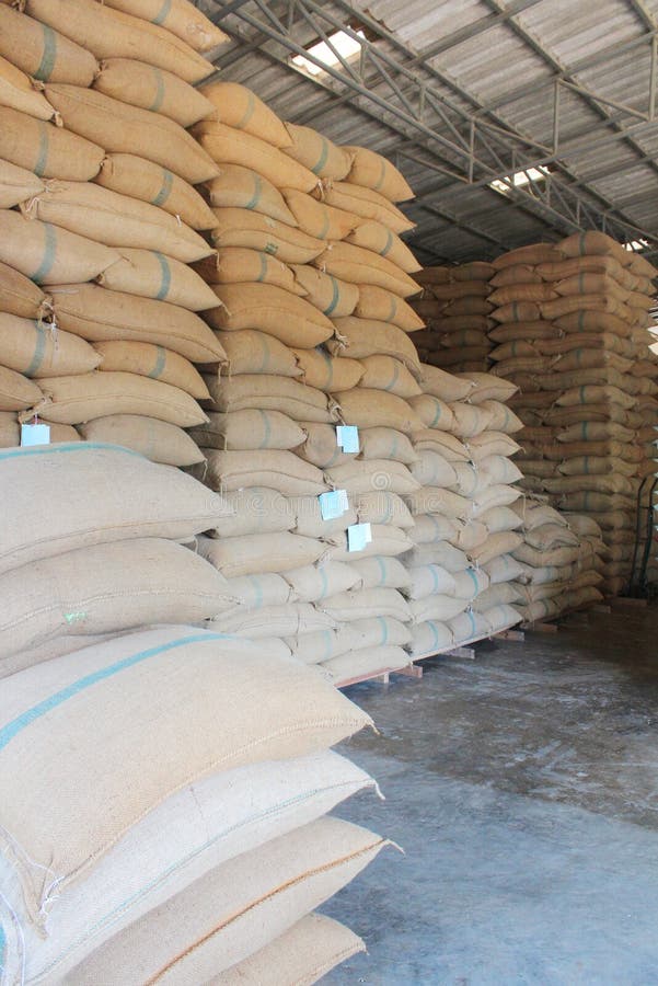 Hemp sacks containing rice stock photo. Image of rice - 65270720