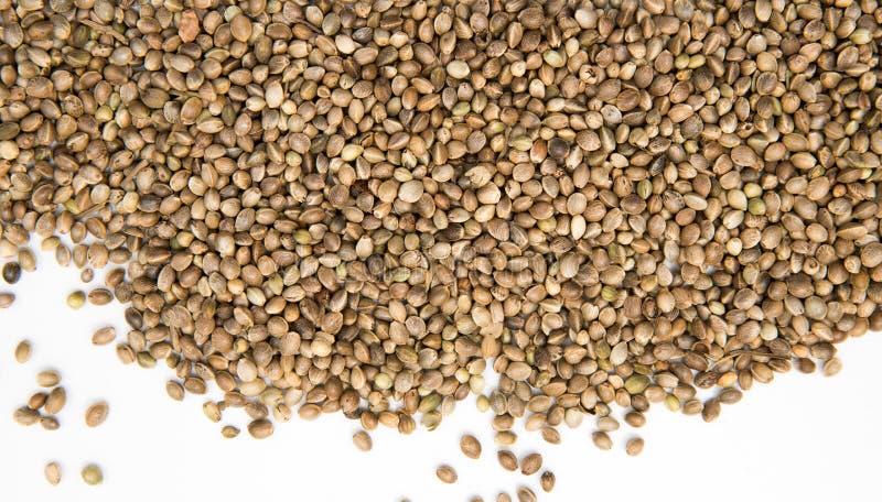Hemp Seed Background with White Copy Space. Natural Texture in Macro ...