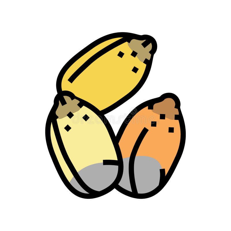 Hemp Seed Color Icon Vector Illustration Stock Vector - Illustration of ...