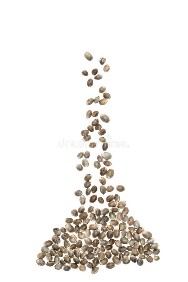Hemp Seeds Falling Stock Photos - Free & Royalty-Free Stock Photos from ...