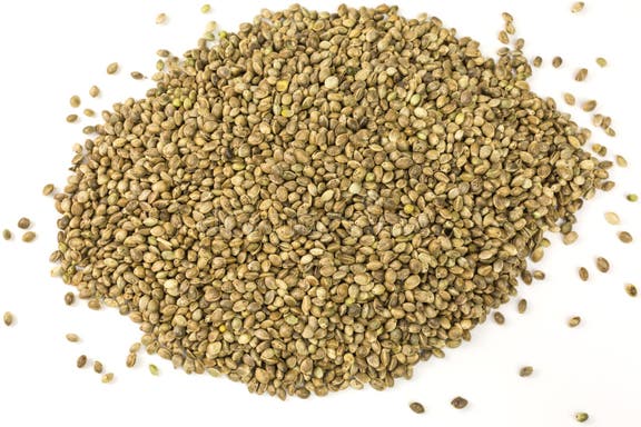Hemp seeds stock photo. Image of hempseed, food, hemp - 68980324