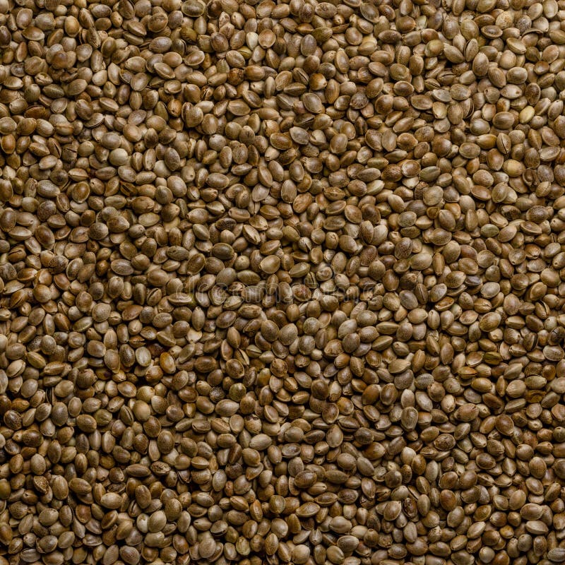 Whole Hemp Seeds, Hempseeds, Square Shaped Background, Food Photo Stock ...