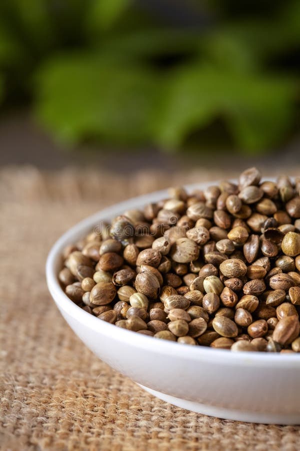 Hemp seeds stock image. Image of herbage, background - 64874753