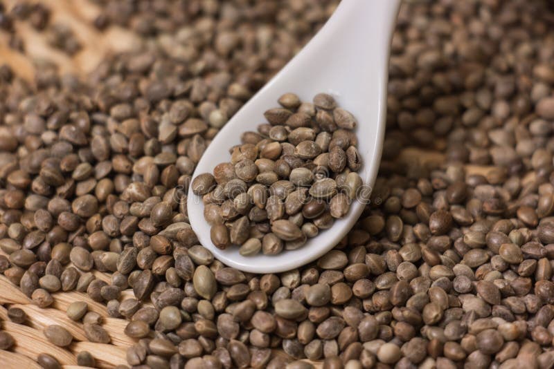 Hemp seeds stock image. Image of desert, farming, health - 66414085