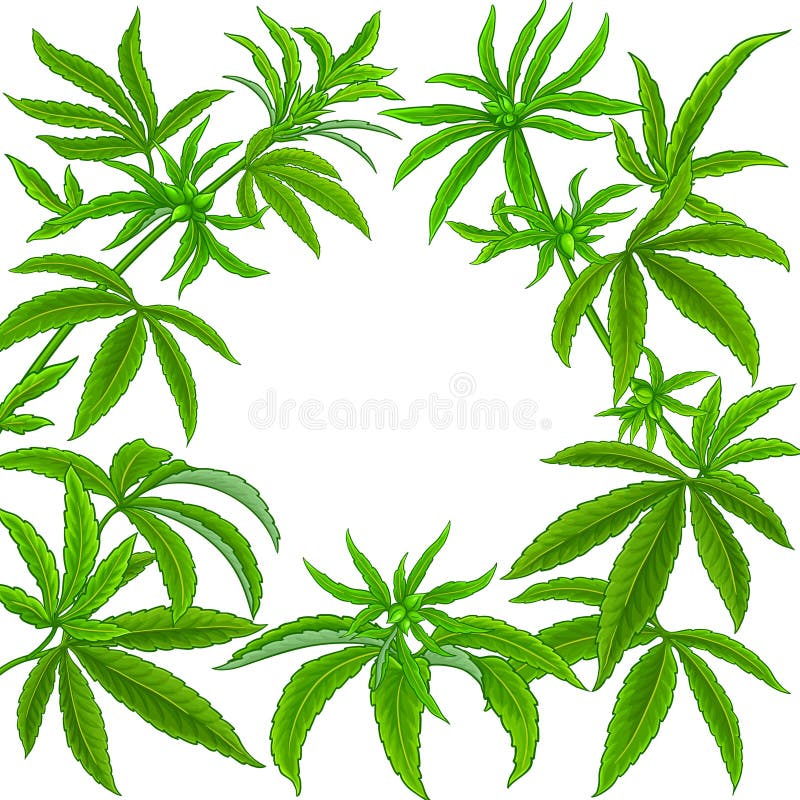 Hemp Vector Cartoon Seamless Pattern for Template Farmer Market Design ...