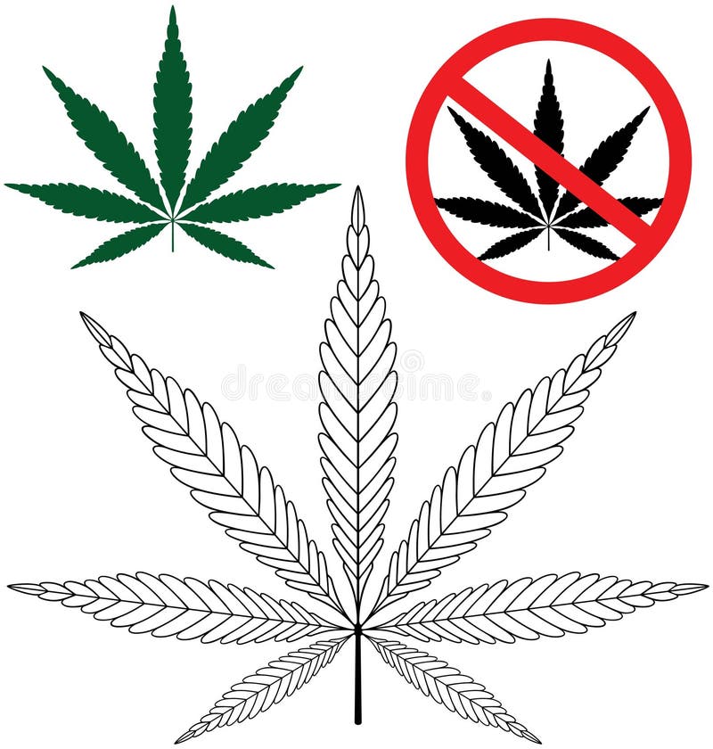 Hemp stock vector. Illustration of plant, agriculture - 48369040