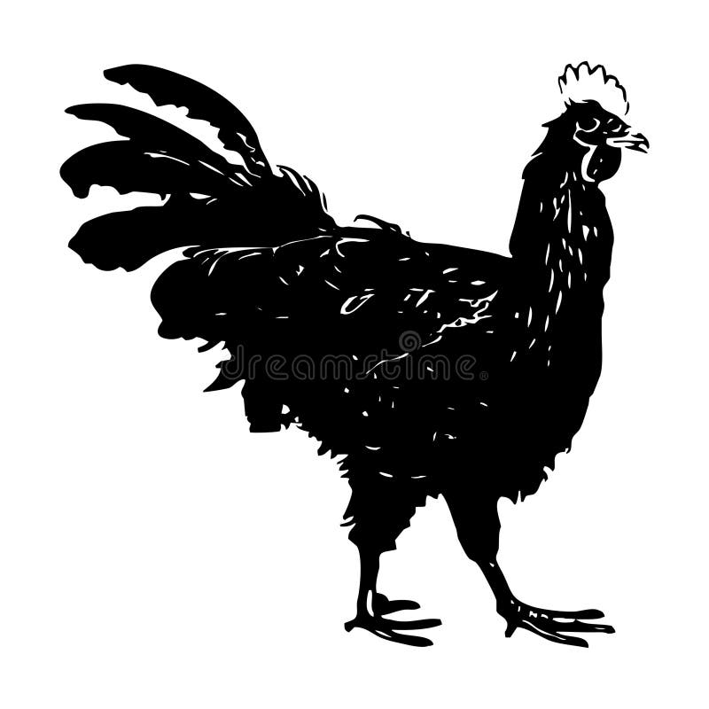 Hen. Black Icon on a White Background Stock Illustration - Illustration ...