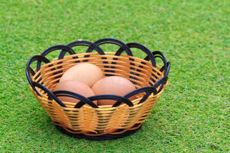The Hen Egg in Fresh Spring Grass Stock Image - Image of organic ...