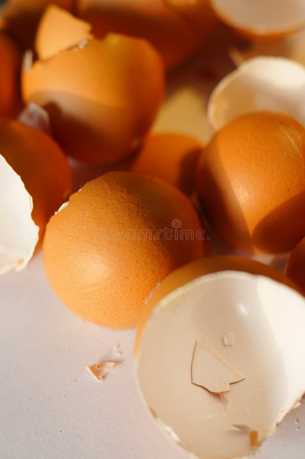 Hen Egg Shells - a Source of Natural Calcium. Bright Background with ...