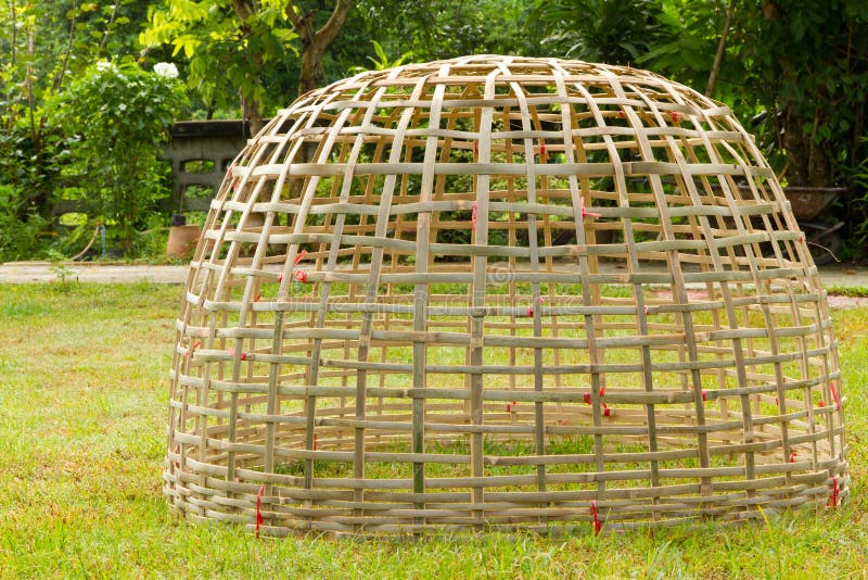 Hen House stock photo. Image of domestic, brown, feather - 20729454