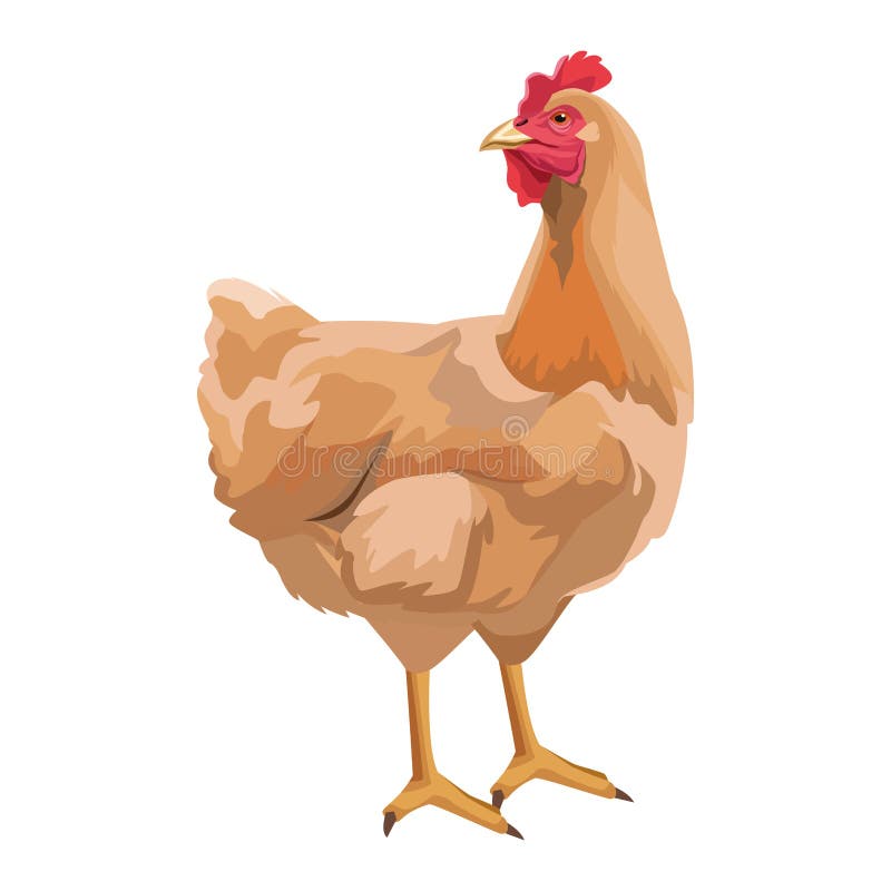 Cartoon Hen Stock Illustrations – 30,625 Cartoon Hen Stock ...