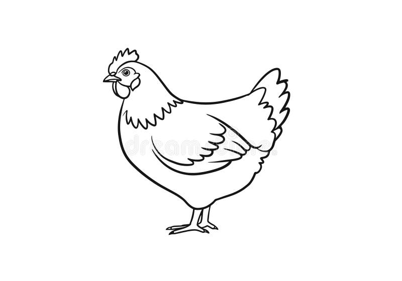 Hen line art. stock illustration. Illustration of bird - 359931750