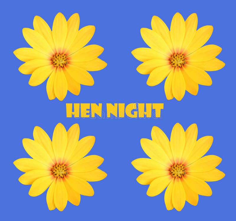 1,473 Hen Night Stock Photos - Free & Royalty-Free Stock Photos from ...