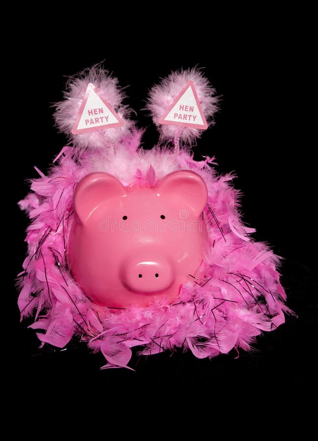 Hen party piggy bank stock image. Image of saving, studio - 50099487