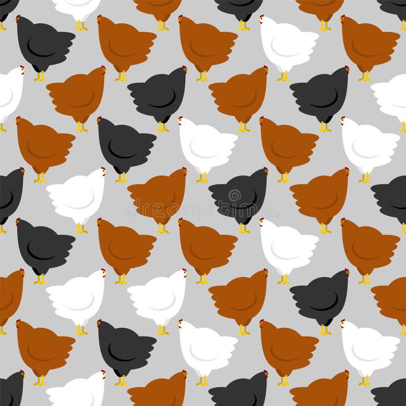 Seamless with Raw Chicken or Turkey. on a Black Chalkboard Background ...