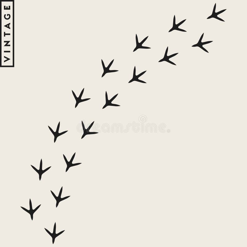 Hen Paw Print Vector. Chicken Paw Print Stock Vector - Illustration of ...