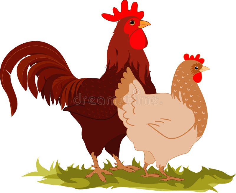 Hen Stock Illustrations – 58,359 Hen Stock Illustrations, Vectors ...