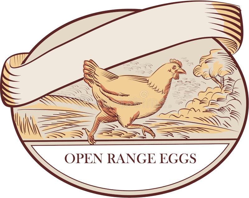 Range Hen Stock Illustrations – 1,130 Range Hen Stock Illustrations ...