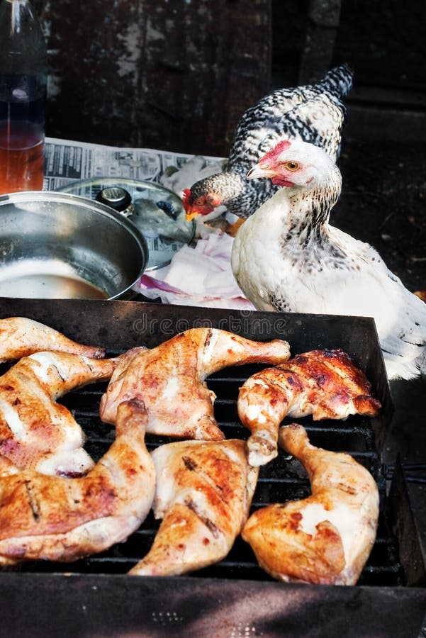 Hen Staring at Chicken Meat on Grill Stock Photo - Image of appetite ...