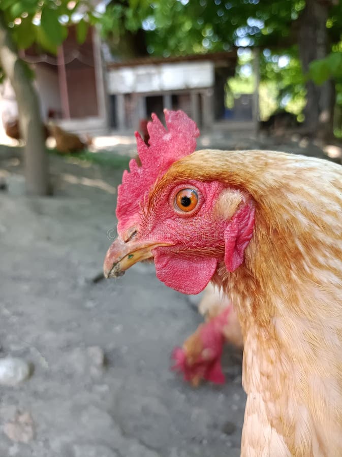 Andrei Nemes (Deiutuandreiutu) - Exclusive Photos