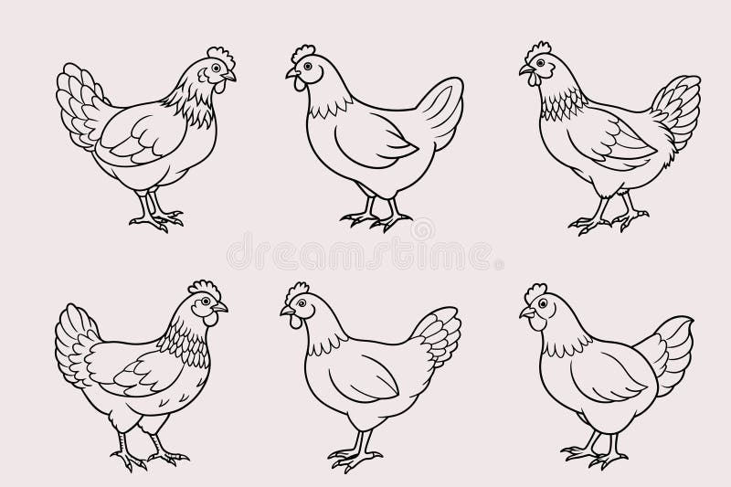 Hen White Color Vector Image Files Stock Illustration - Illustration of ... Hen White Color Vector Image Files Stock Illustration - Illustration of ...
