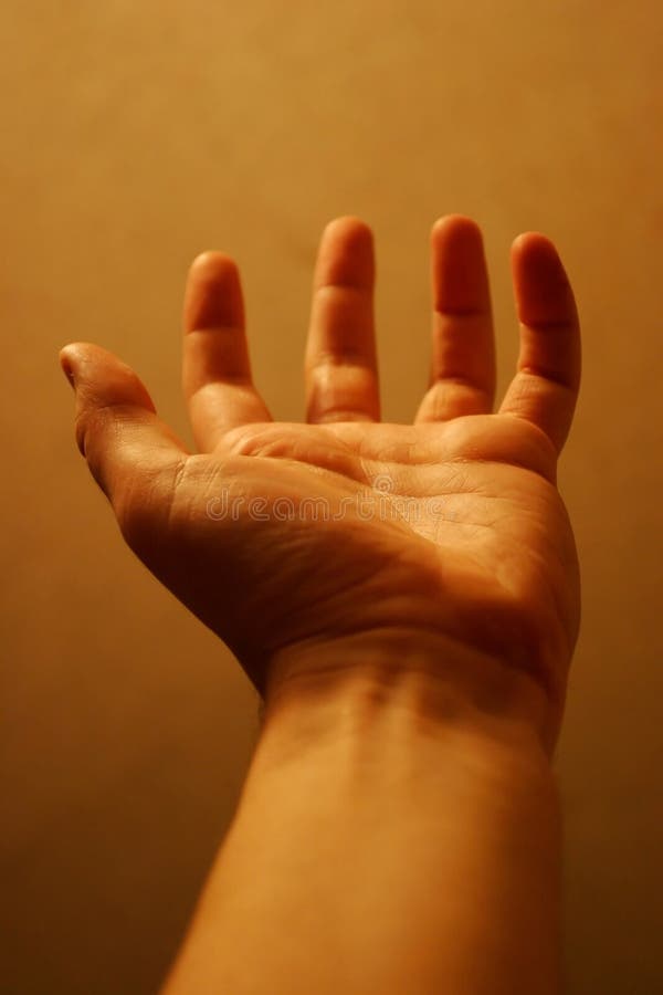 Hend up 2 stock photo. Image of hold, yellow, hand, support - 484908