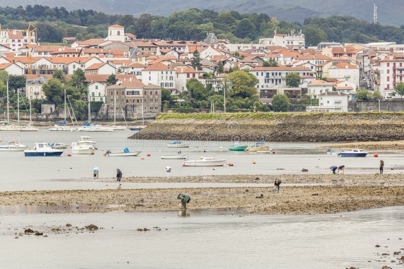 Hendaye, France image éditorial. Image du basque, pyrenees - 79906605