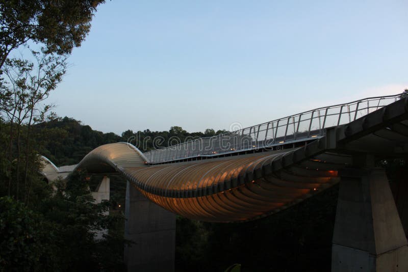 Henderson wave bridge stock photo. Image of structure - 38988076
