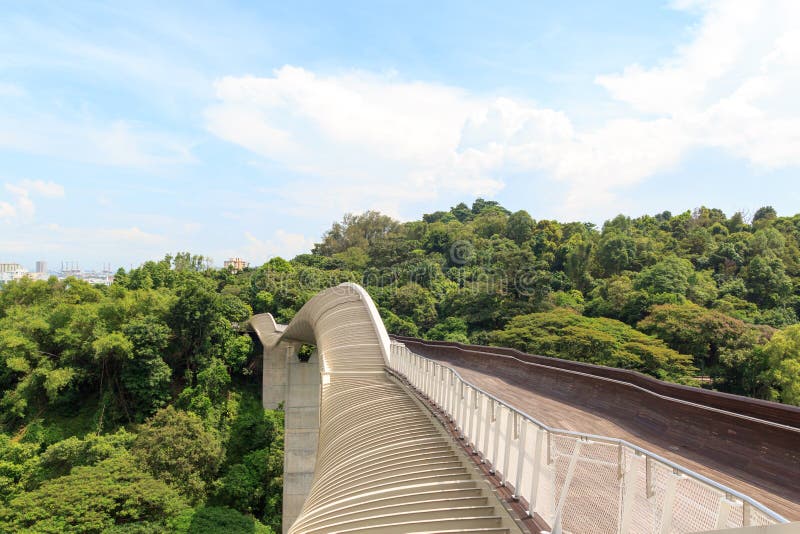 Henderson Waves Bridge on Mount Faber Rainforest Stock Photo - Image of ...