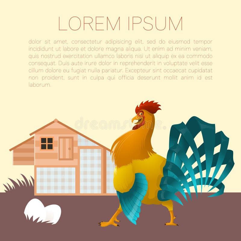 Henhouse Banner with Rooster Stock Vector - Illustration of barn, farm ...