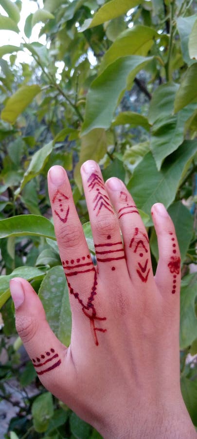 Henna roja o foto de archivo. Imagen de mano, verde - 252550138