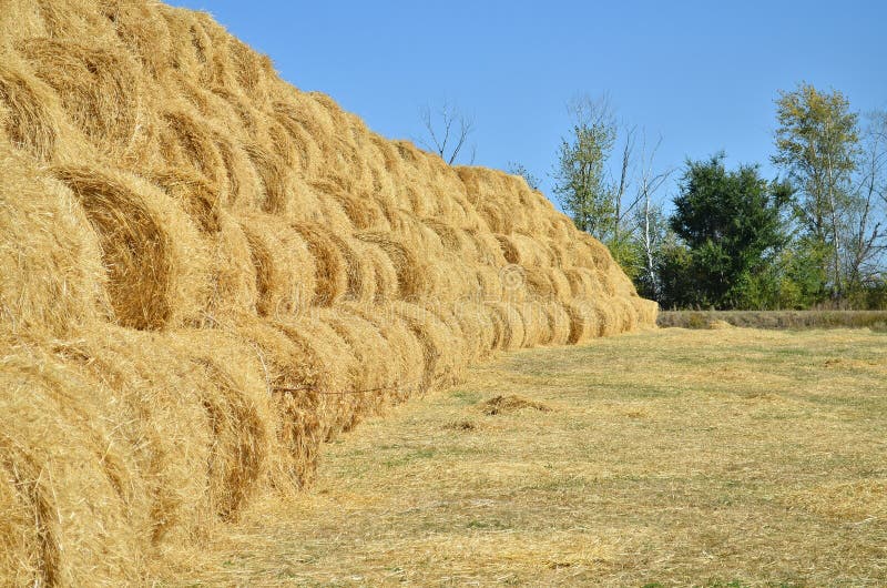 Heno imagen de archivo. Imagen de materia, paja, prado - 56700505