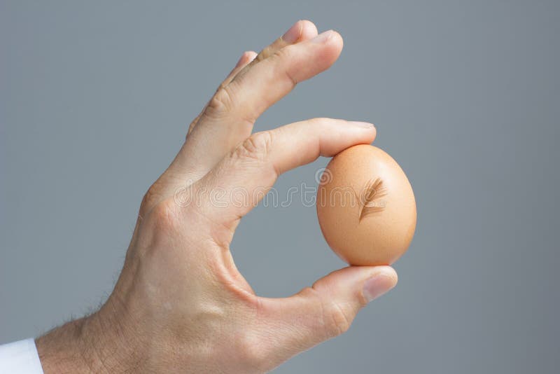 Hens egg with a signature stock image. Image of male - 45104309