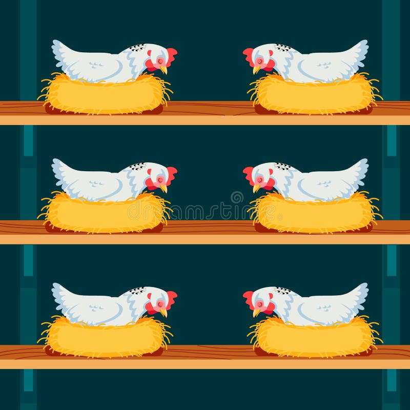 The Hens is Hatching the Egg in the Coop. White Chicken is Sleeping and ...