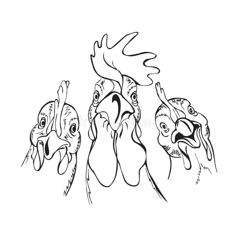 Rooster Head Outline Illustration Stock Illustrations – 978 Rooster ...
