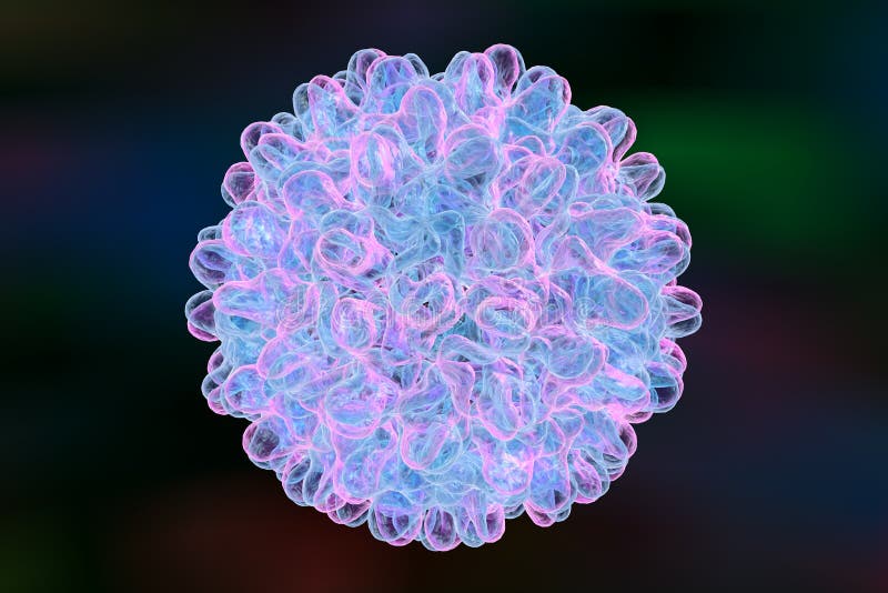 Structure Of Hepatitis B Virus Under Microscope. Biological ...