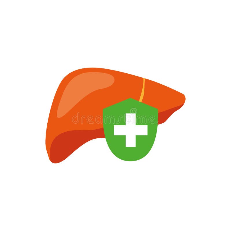 Hepatoprotector Concept Icon Stock Illustrations – 8 Hepatoprotector ...