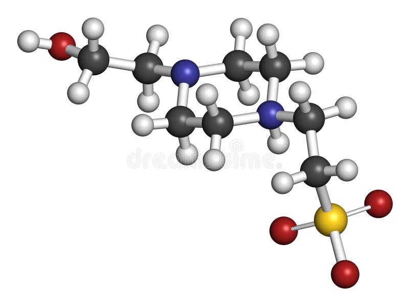 Hepes Molecule Stock Illustrations – 12 Hepes Molecule Stock ...