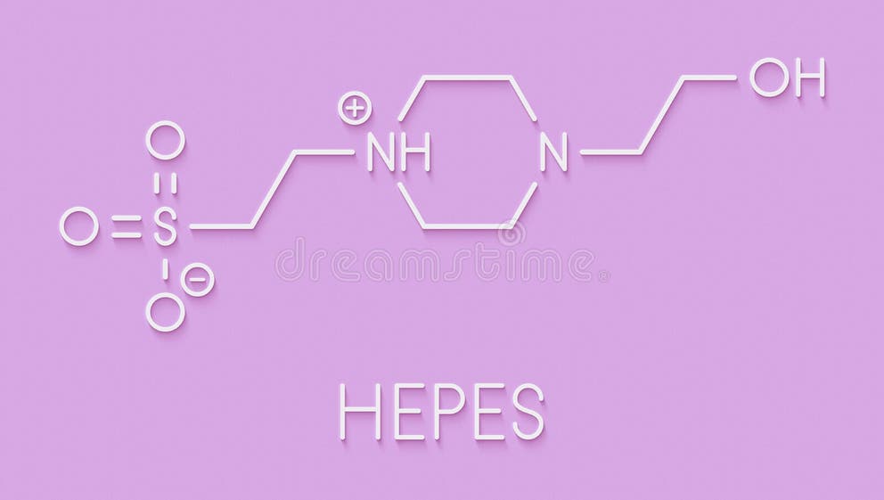 HEPES Buffering Agent Molecule. Skeletal Formula. Stock Illustration ...