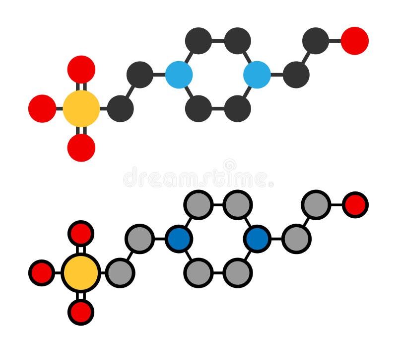 Hepes Molecule Stock Illustrations – 12 Hepes Molecule Stock ...