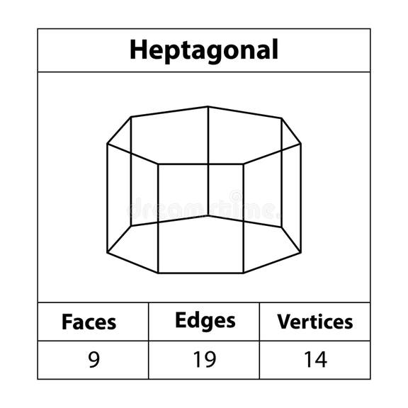 Heptagonal, Faces, Edges, Vertices. Shapes, Vertices. Math Teaching ...