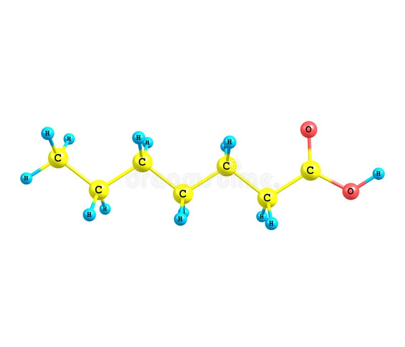 Heptanoic (enanthic) Acid Molecule on White Stock Illustration ...