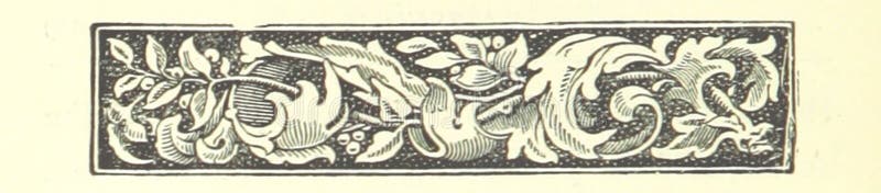 British Library Digitised Image from Page 242 of "Her Evil Behaviour [a ...