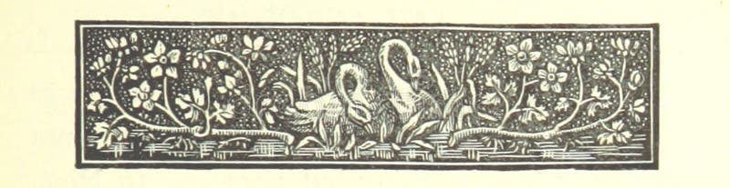 British Library Digitised Image From Page 151 Of "Her Evil Behaviour [A ...