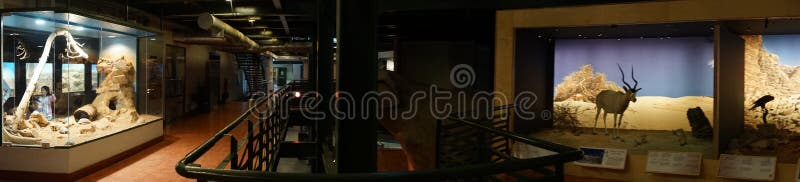 Inside museum editorial image. Image of museum, column - 118009520